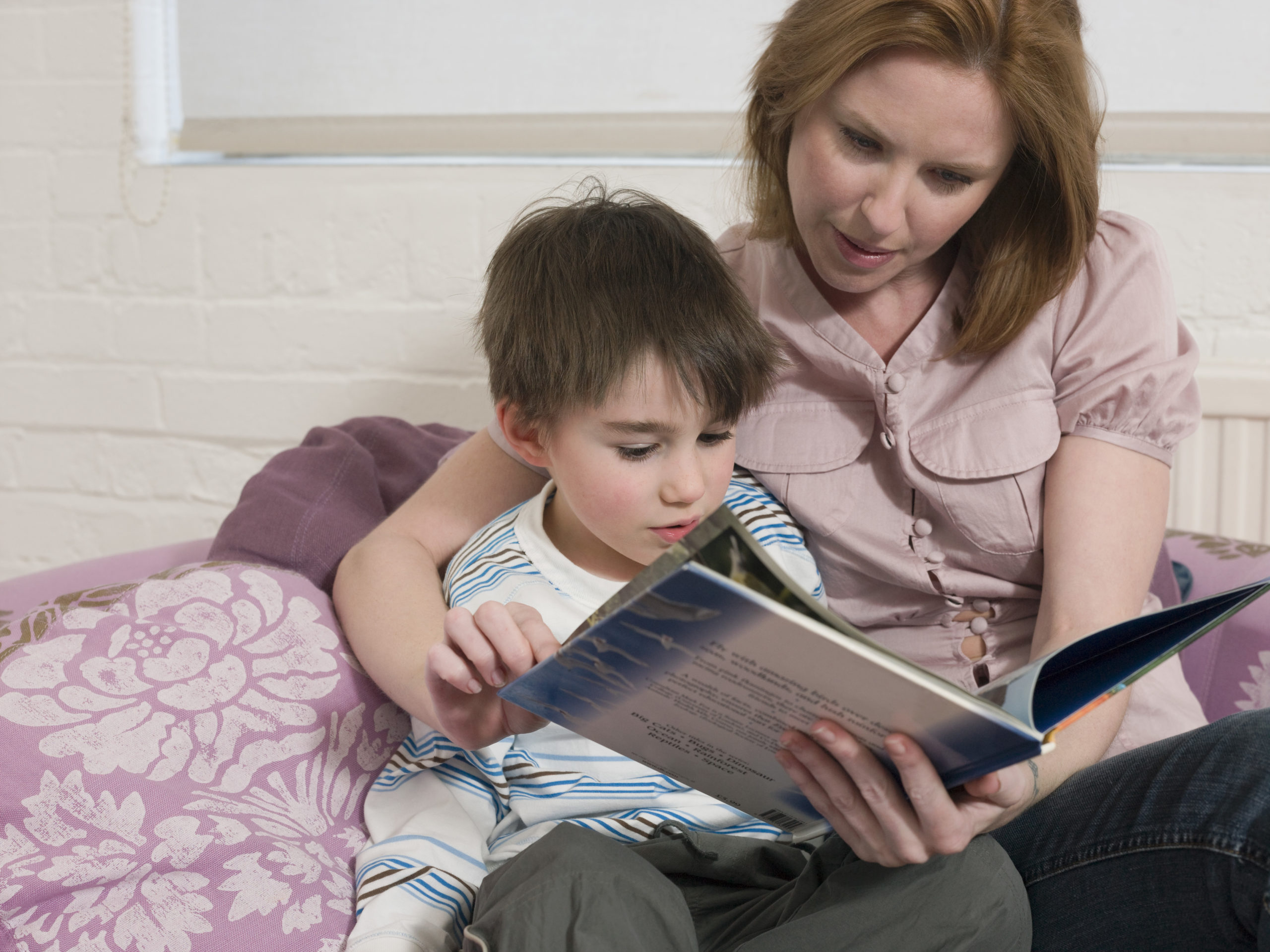 Supporting Literacy Learning at Home • TNSTEP