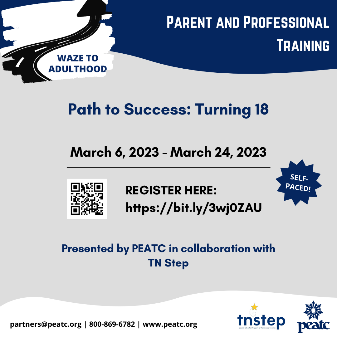 Path to Success: Turning 18 - a WAZE to Adulthood Parent and Professional Training • TNSTEP